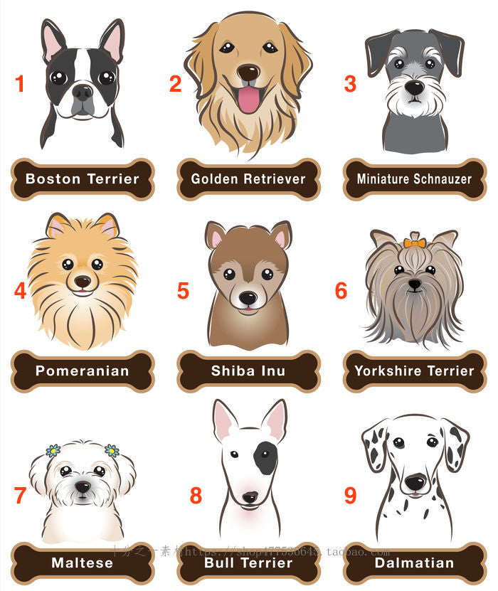 お写真入り散歩映画ランプ-交換用フィルム（ライトは含まれていません） – UnimStar